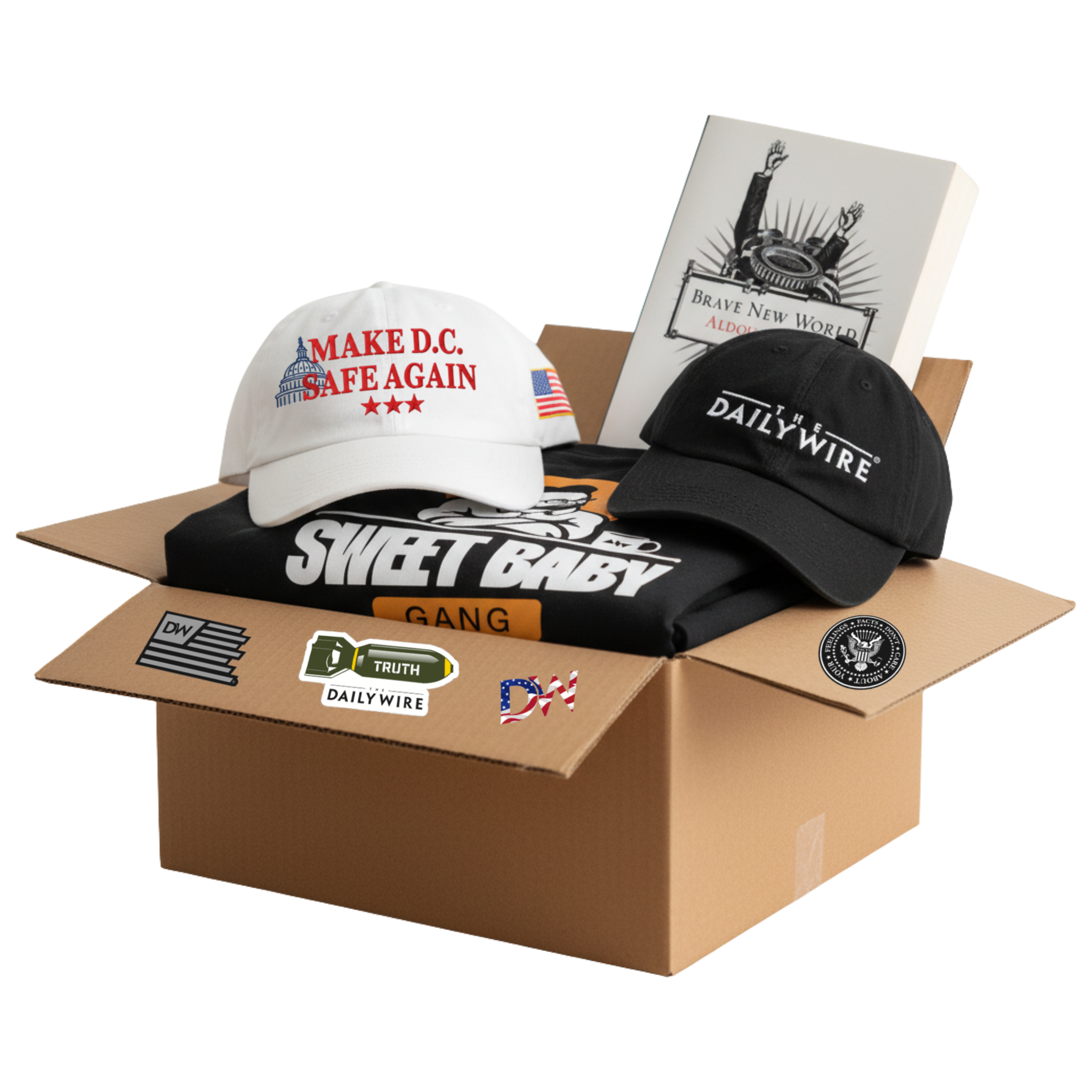 Daily Wire Mystery Box – Daily Wire Shop