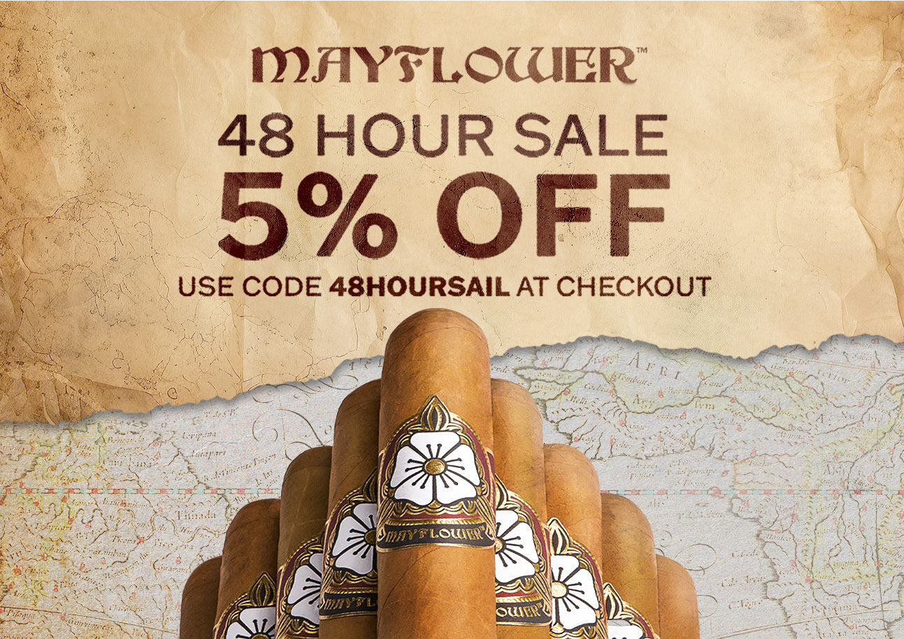 Daily Wire+ Shop – Daily Wire Shop