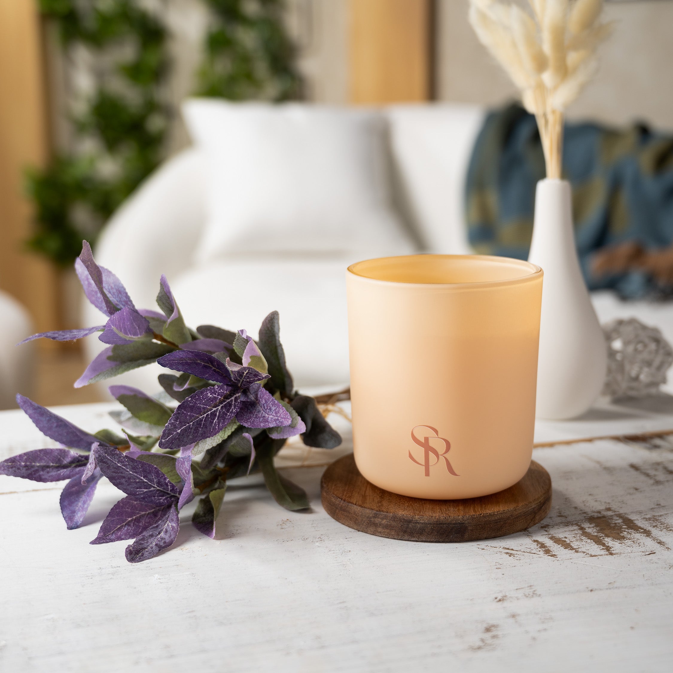 Lily Glacé – Daily Wire Shop