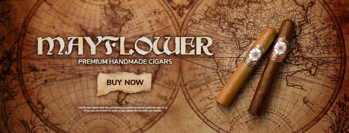 Daily Wire+ Shop – Daily Wire Shop