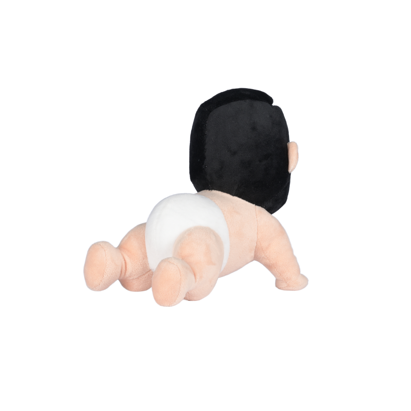 Daily Wire Shop